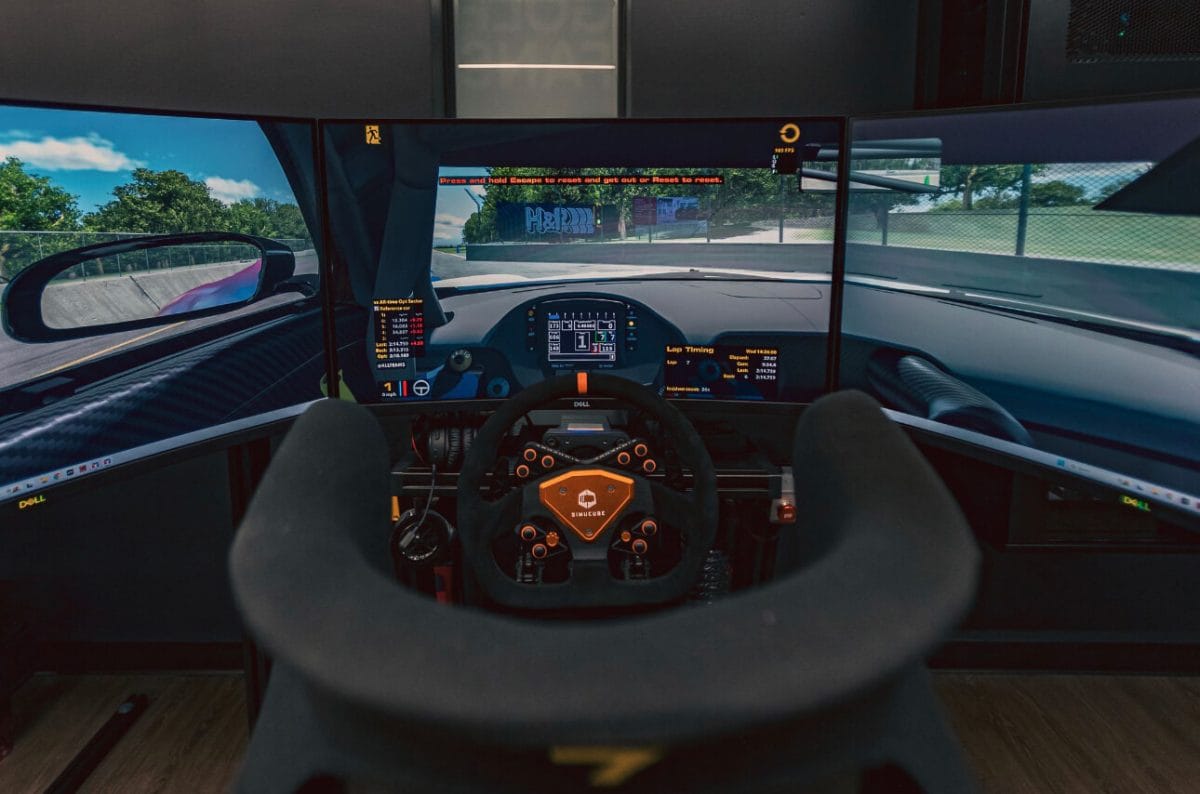 Sims for Sale – Gem Sims